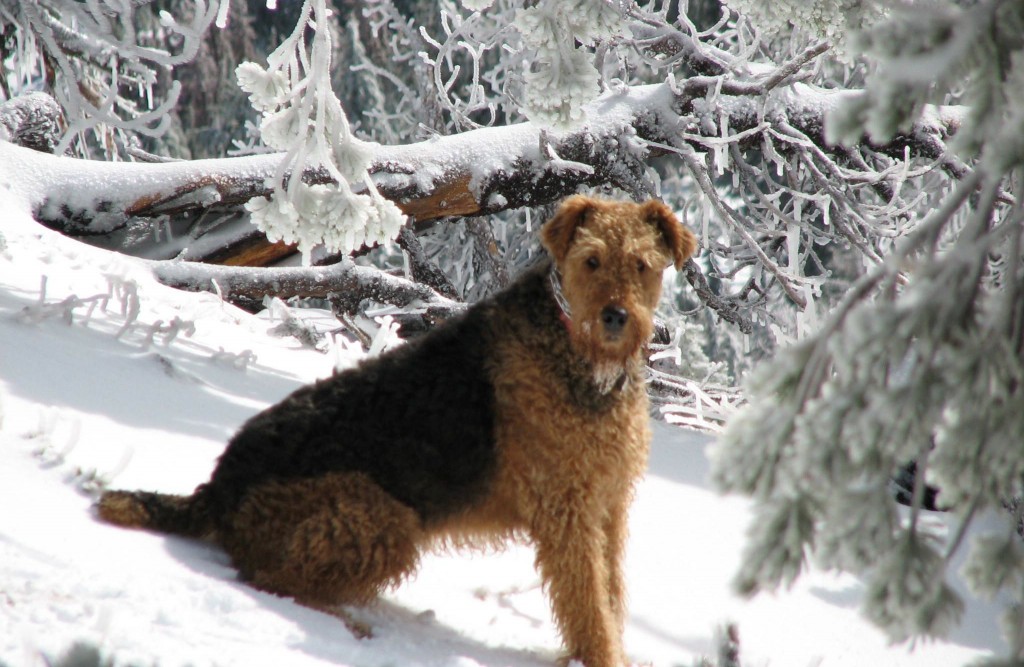 I was raised in Broken Top, perhaps Bend’s nicest gated golf community ...